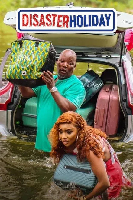 Disaster Holiday (2024) NEW – Moviefy store